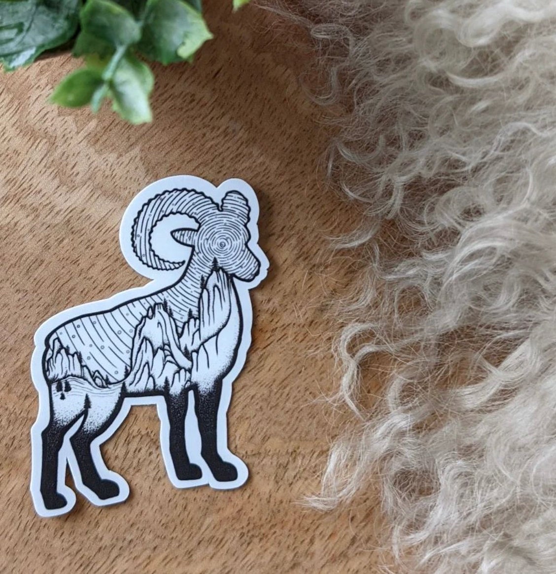 The Spotted Selkie - Big Horn Sheep | Brazen Shop + Studio